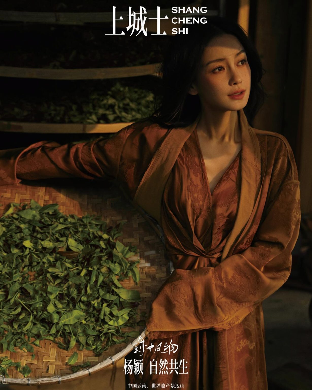 Angelababy (Chinese Model and Actress) Net Worth 2025